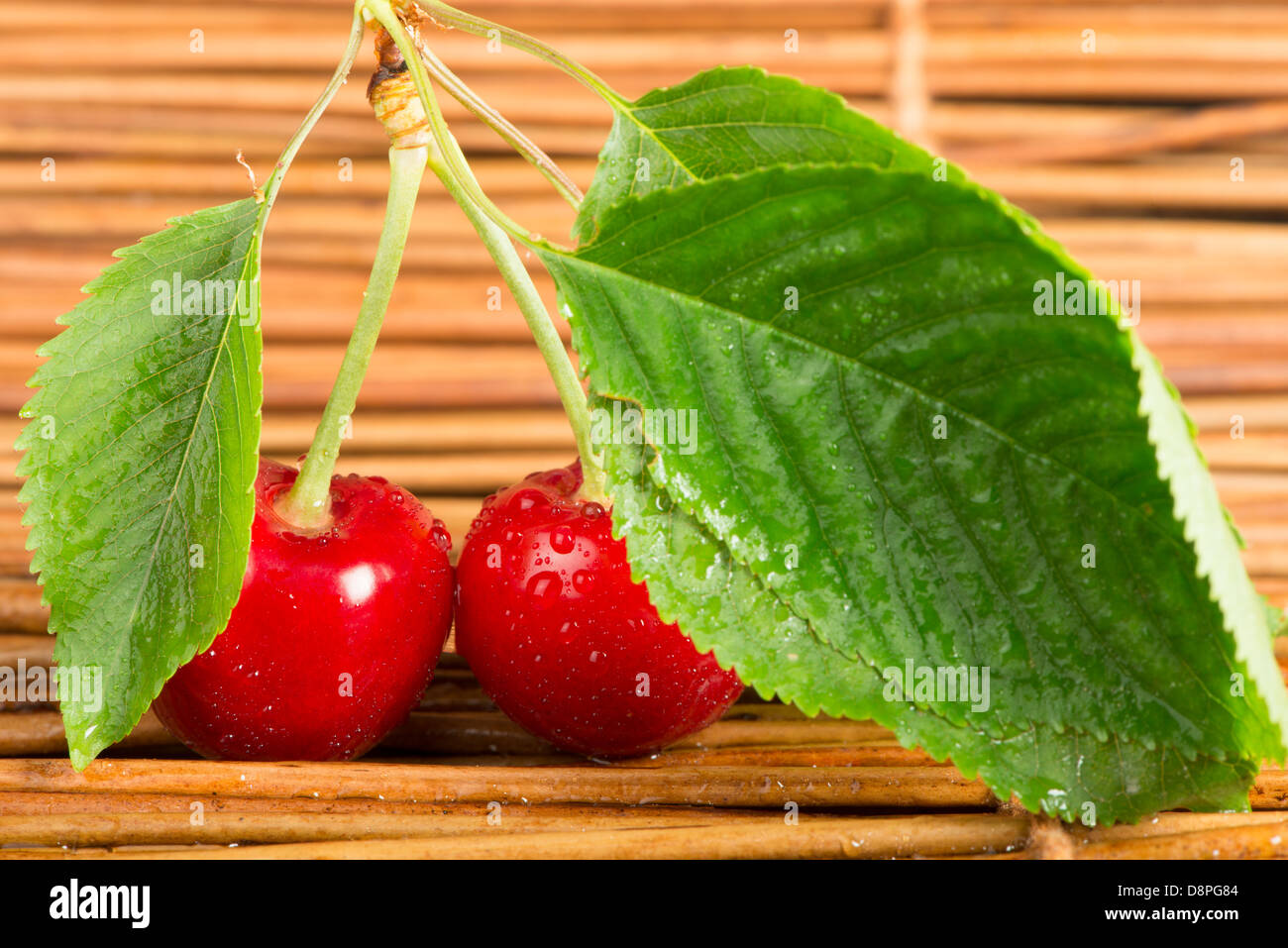 Two Cherries close up. Branch with leaves. Studio shot Stock Photo - Alamy
