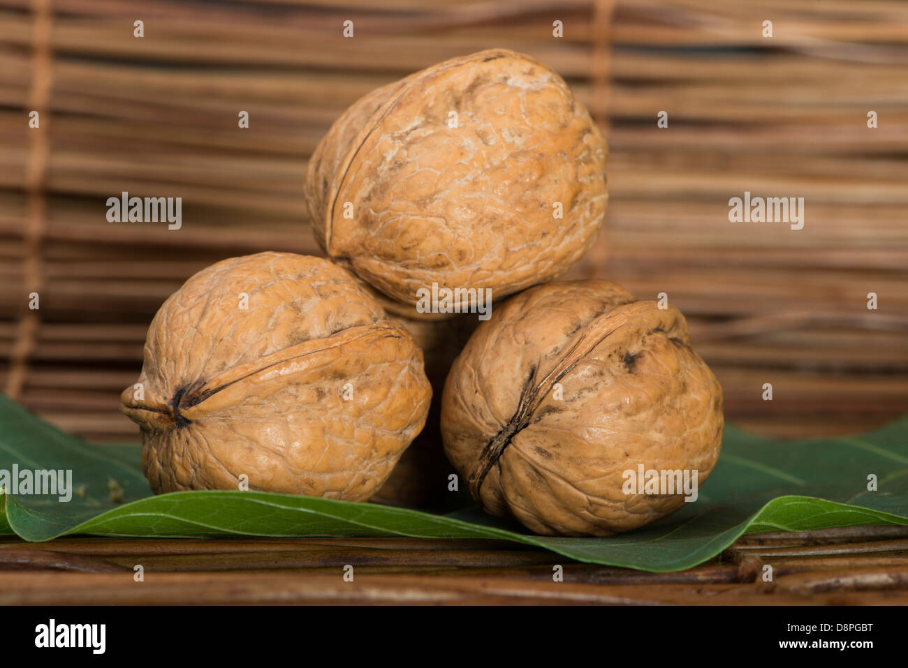 Walnut ripe hi-res stock photography and images - Alamy