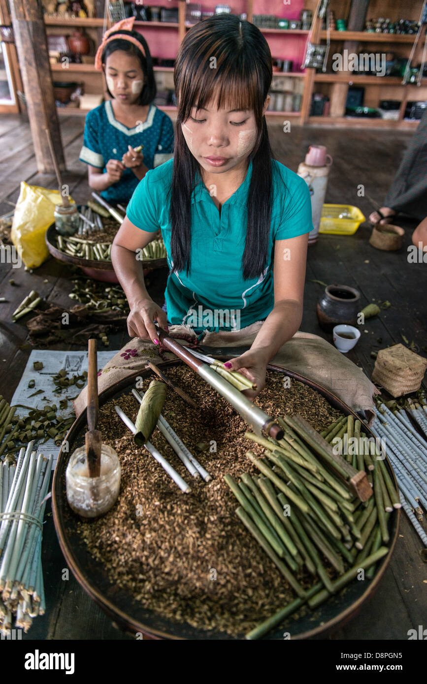 Burmese young woman making cigars at Cheroot Cigar Making Workshops on ...