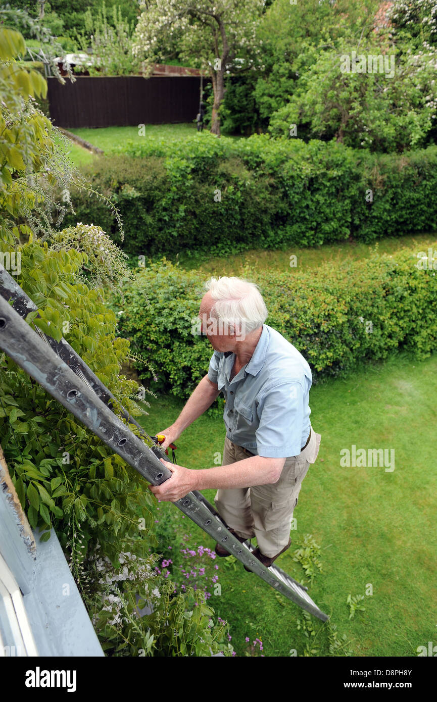 Elderly man climbing ladder hi-res stock photography and images - Alamy