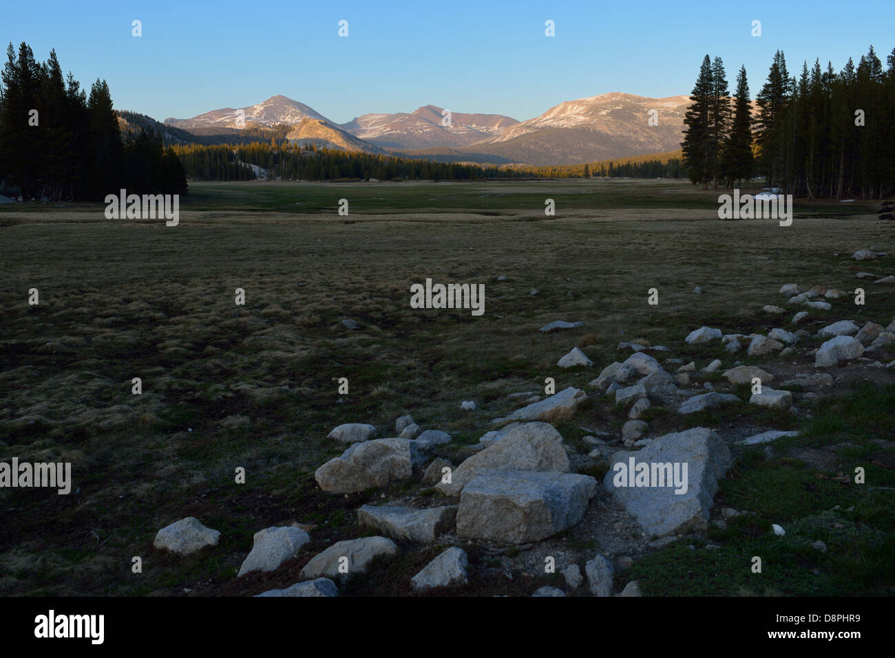 Mount Dana at Yosemite National Park, California CA Stock Photo - Alamy