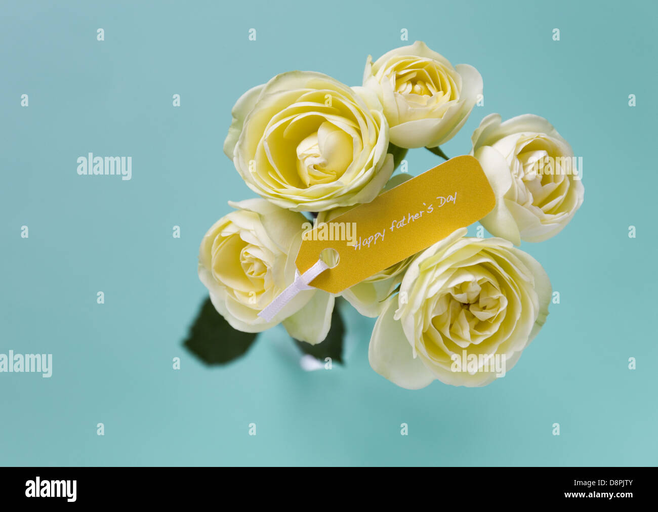 Yellow roses and a greeting card Stock Photo - Alamy