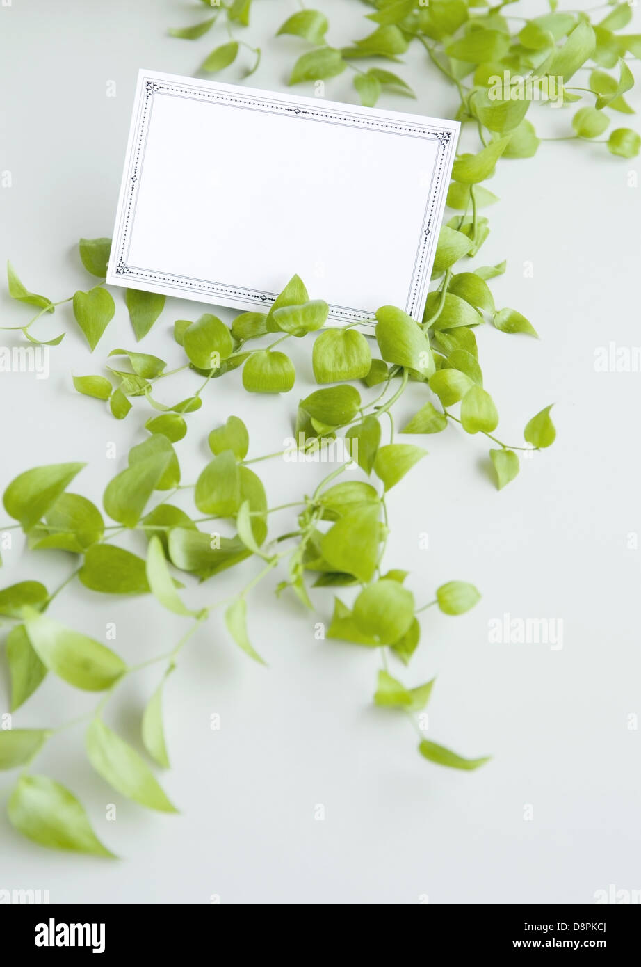 Leaves and a message card Stock Photo - Alamy