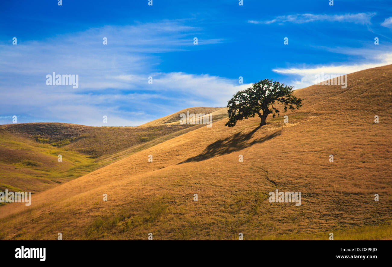 Hillside solitude hi-res stock photography and images - Alamy