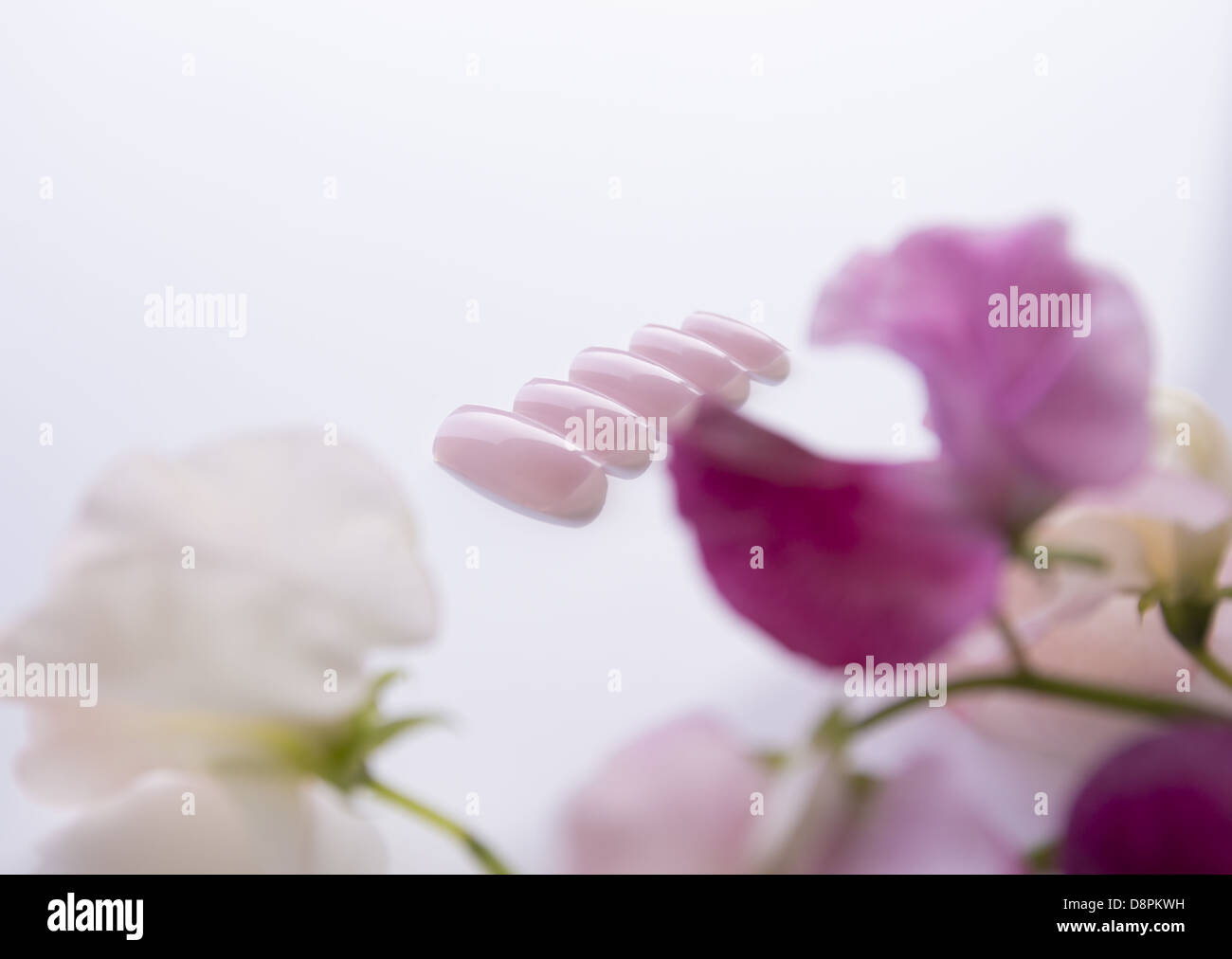 Nail chips and sweet pea Stock Photo - Alamy