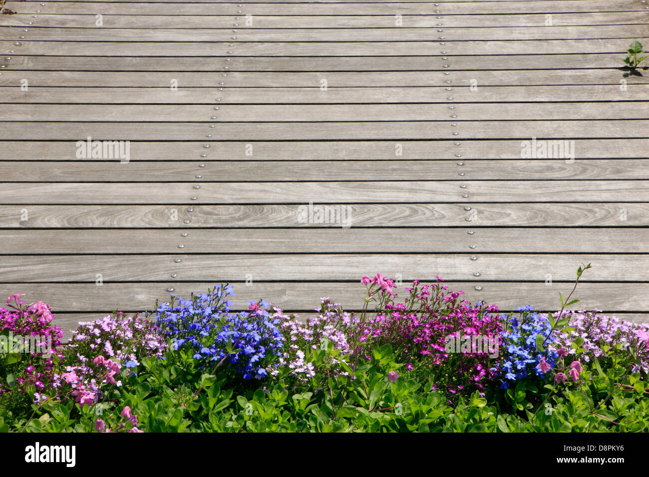 Flowers and wooden deck Stock Photo - Alamy