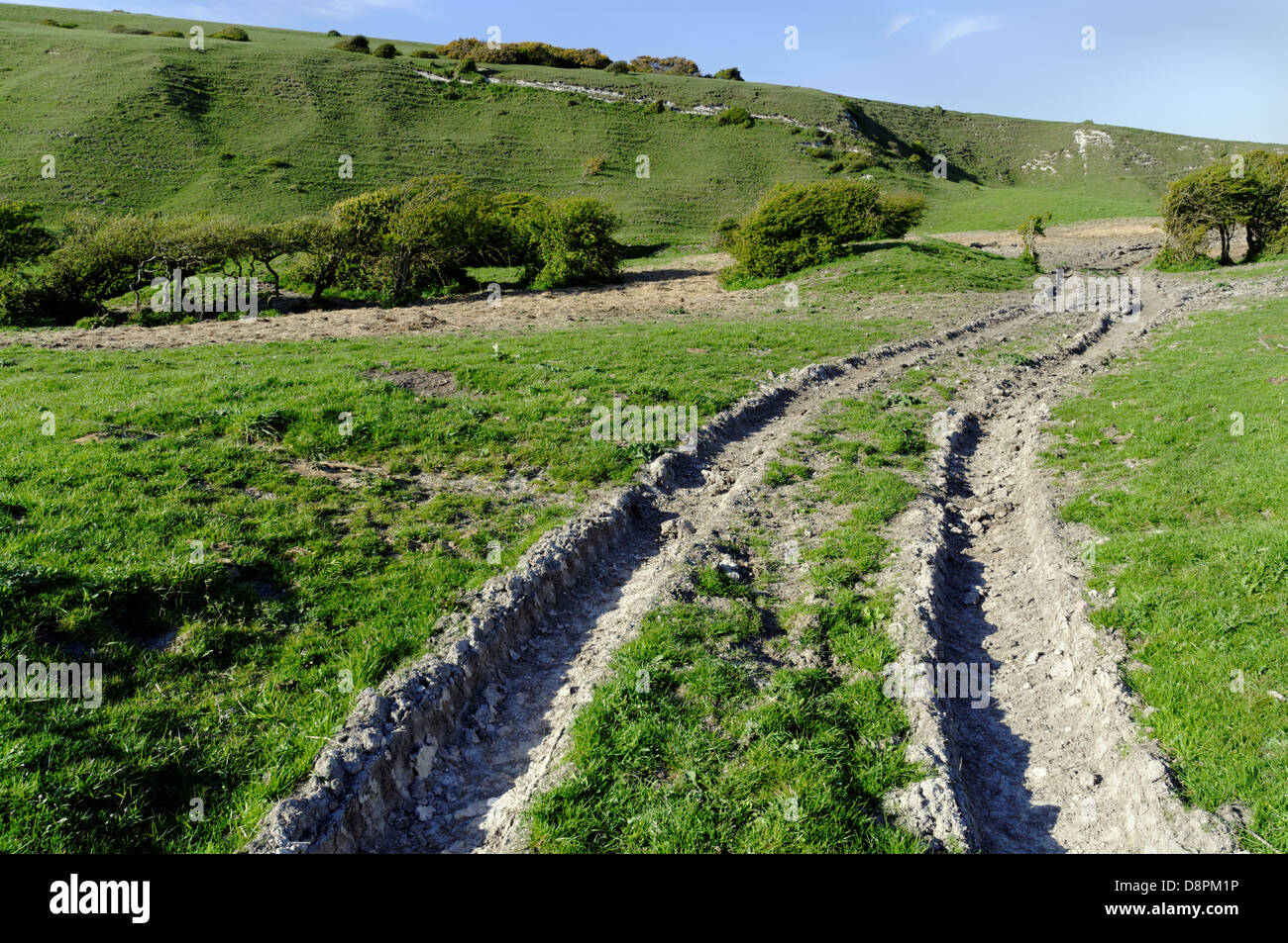 Brook Down, Nature Reserve, Brook, Isle of Wight, England, UK, GB Stock ...