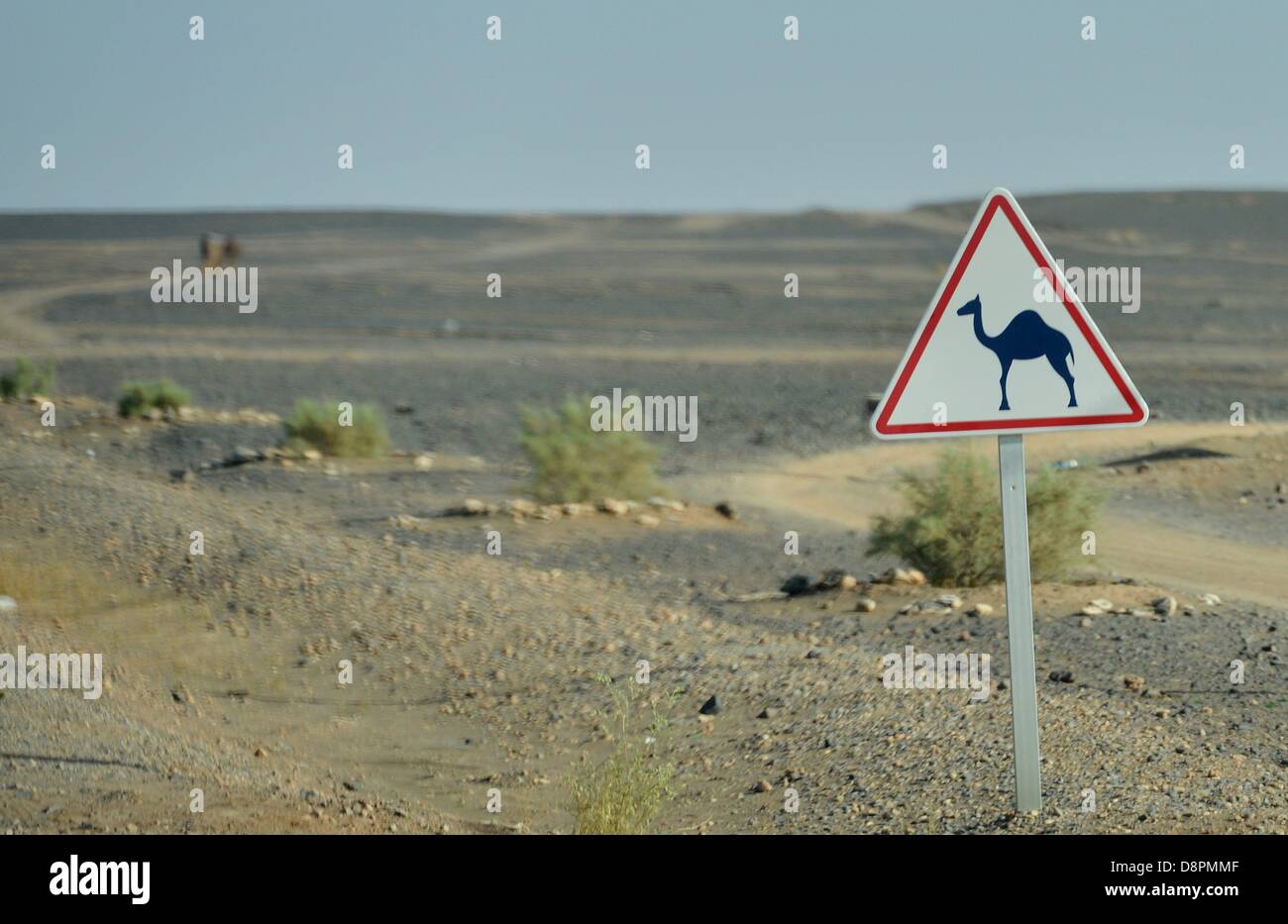 A sign in the Sahara Desert near Merzouga, Morocco, North Africa ...