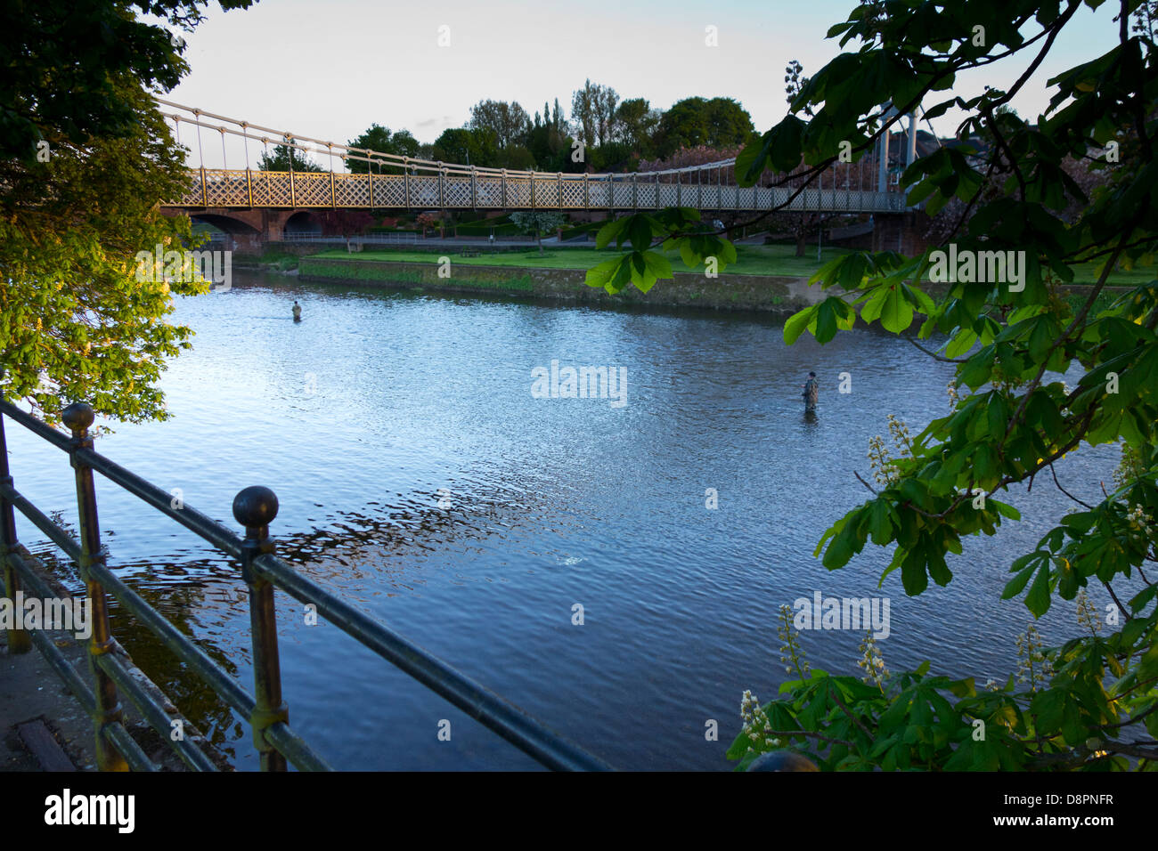 River Nith Dumfries town with fly fisherman Stock Photo - Alamy