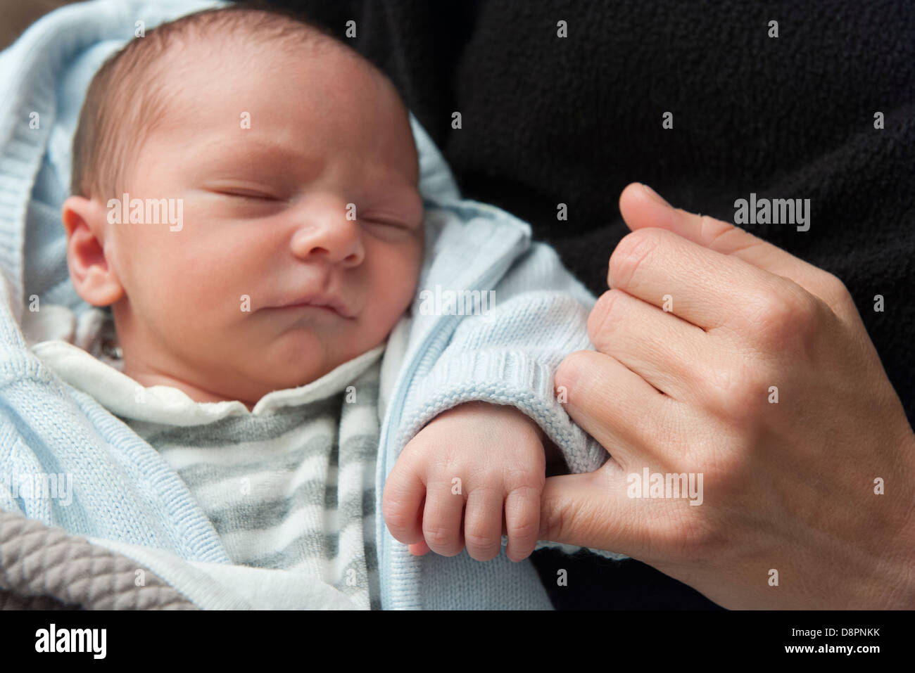 Baby holding adult's finger Stock Photo - Alamy