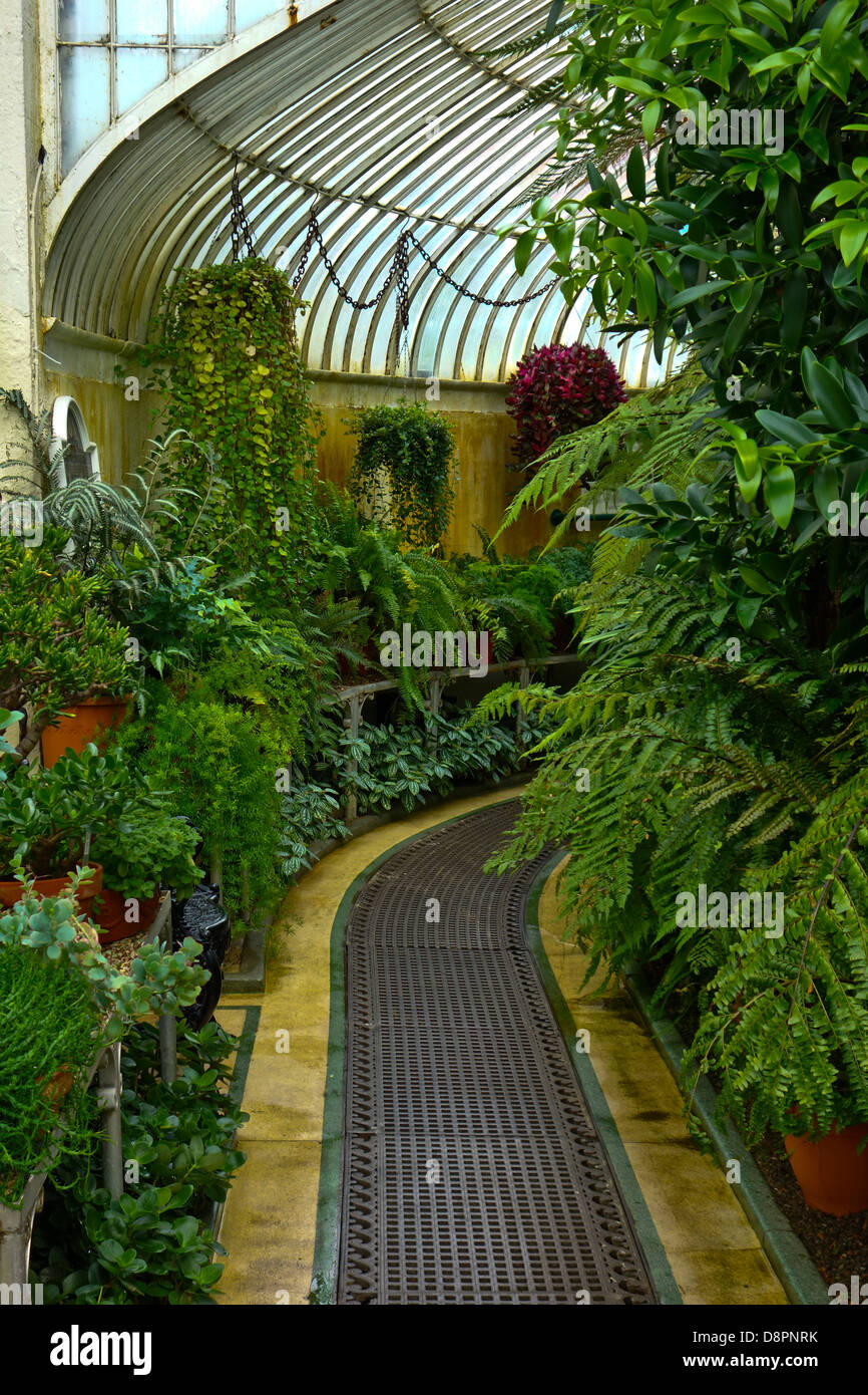 Palm House Belfast Botanic Gardens Stock Photo - Alamy