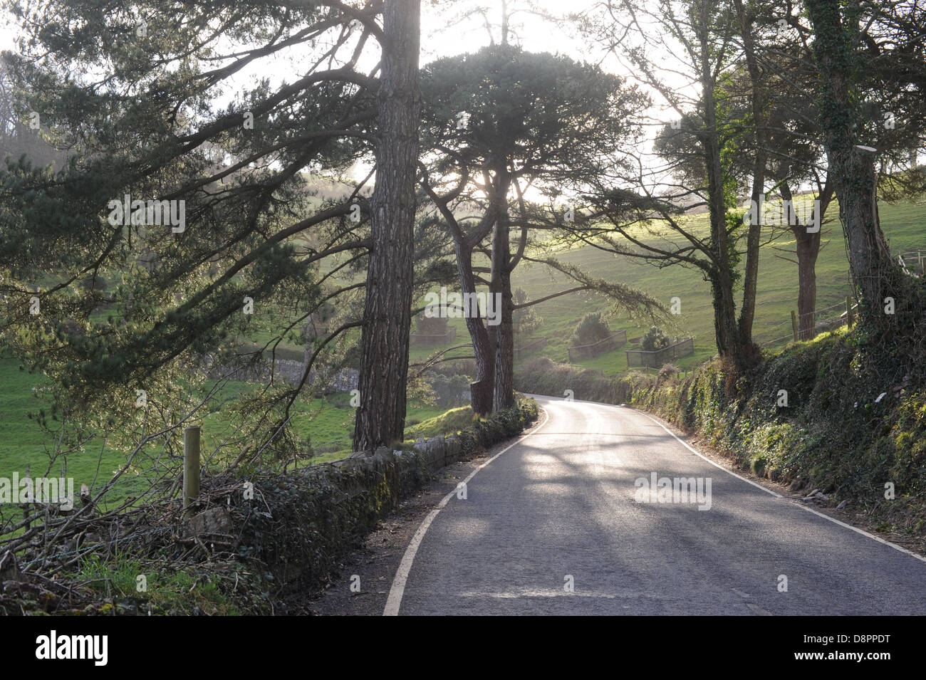 A road in Devon Stock Photo - Alamy