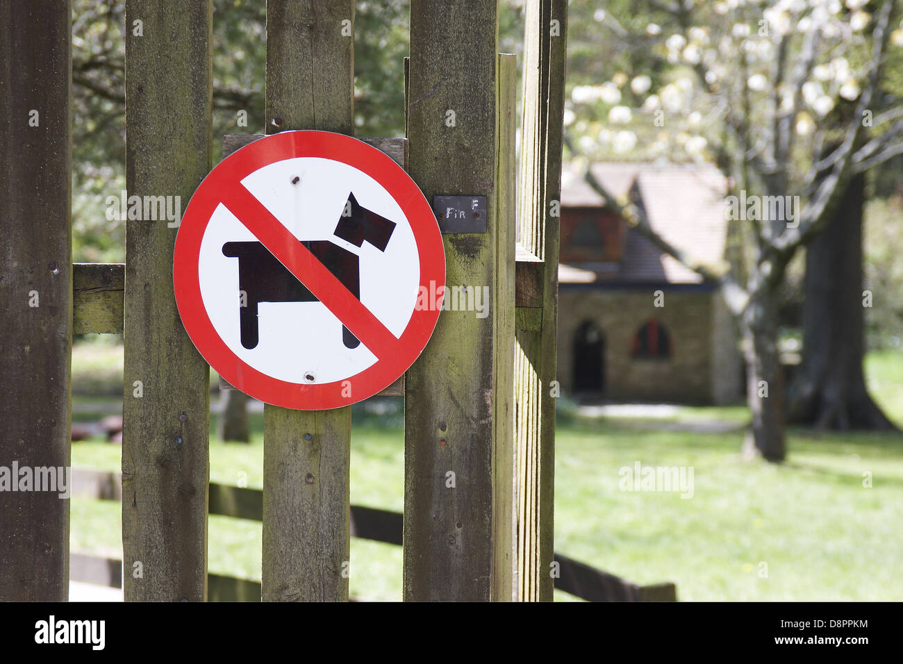 No dog sign at Margam park, Wales, UK Stock Photo - Alamy