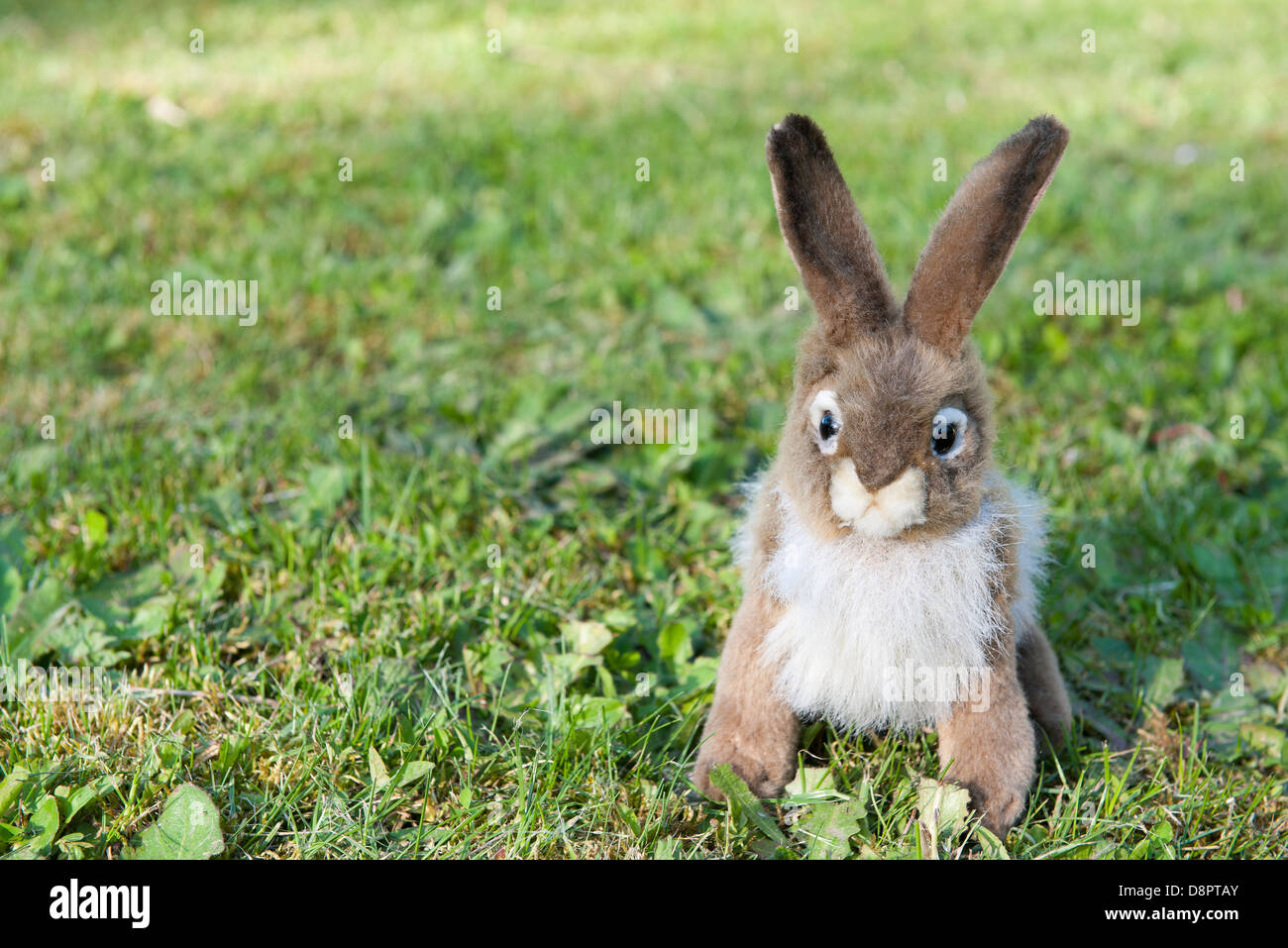 Stuffed rabbit sitting on grass Stock Photo - Alamy