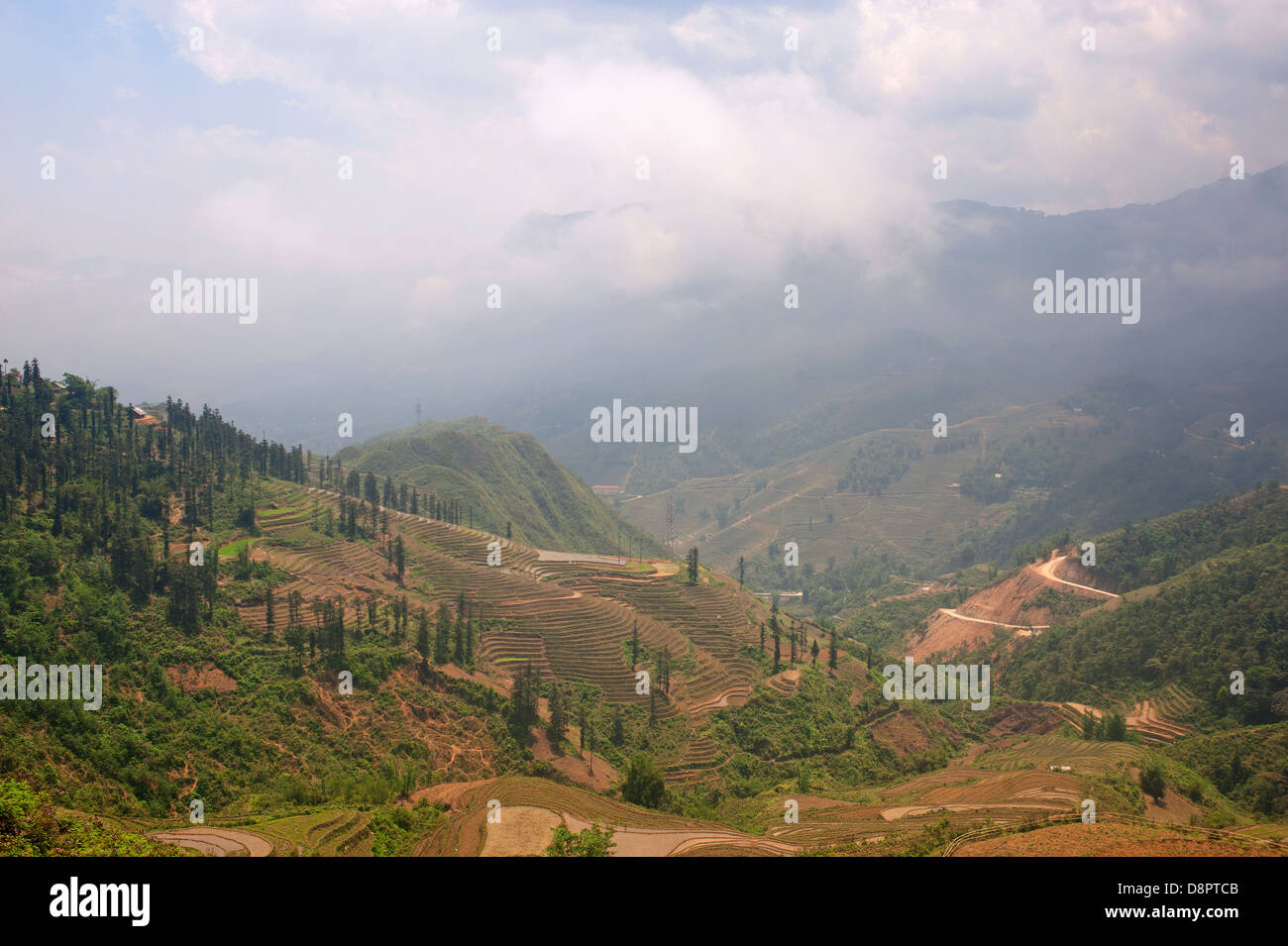 Sapa region, North Vietnam - Landscape with rice paddies and mountains ...