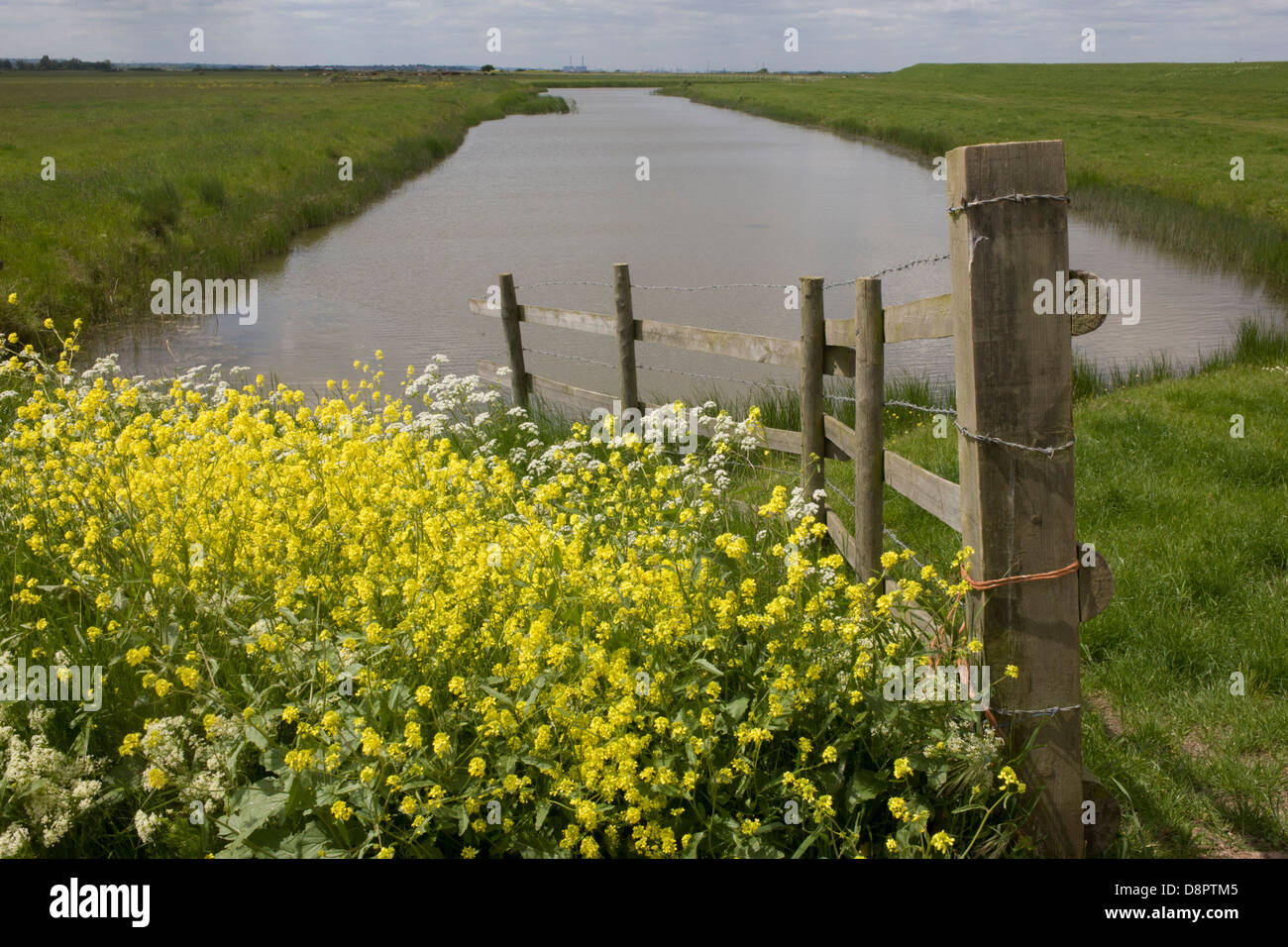 An idyllic landscape of artificial dyke waters on Halstow Marshes, near ...