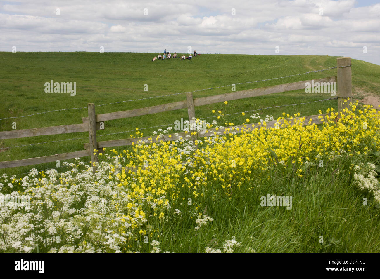 A group of country ramblers rest for lunch on the sea defence ...