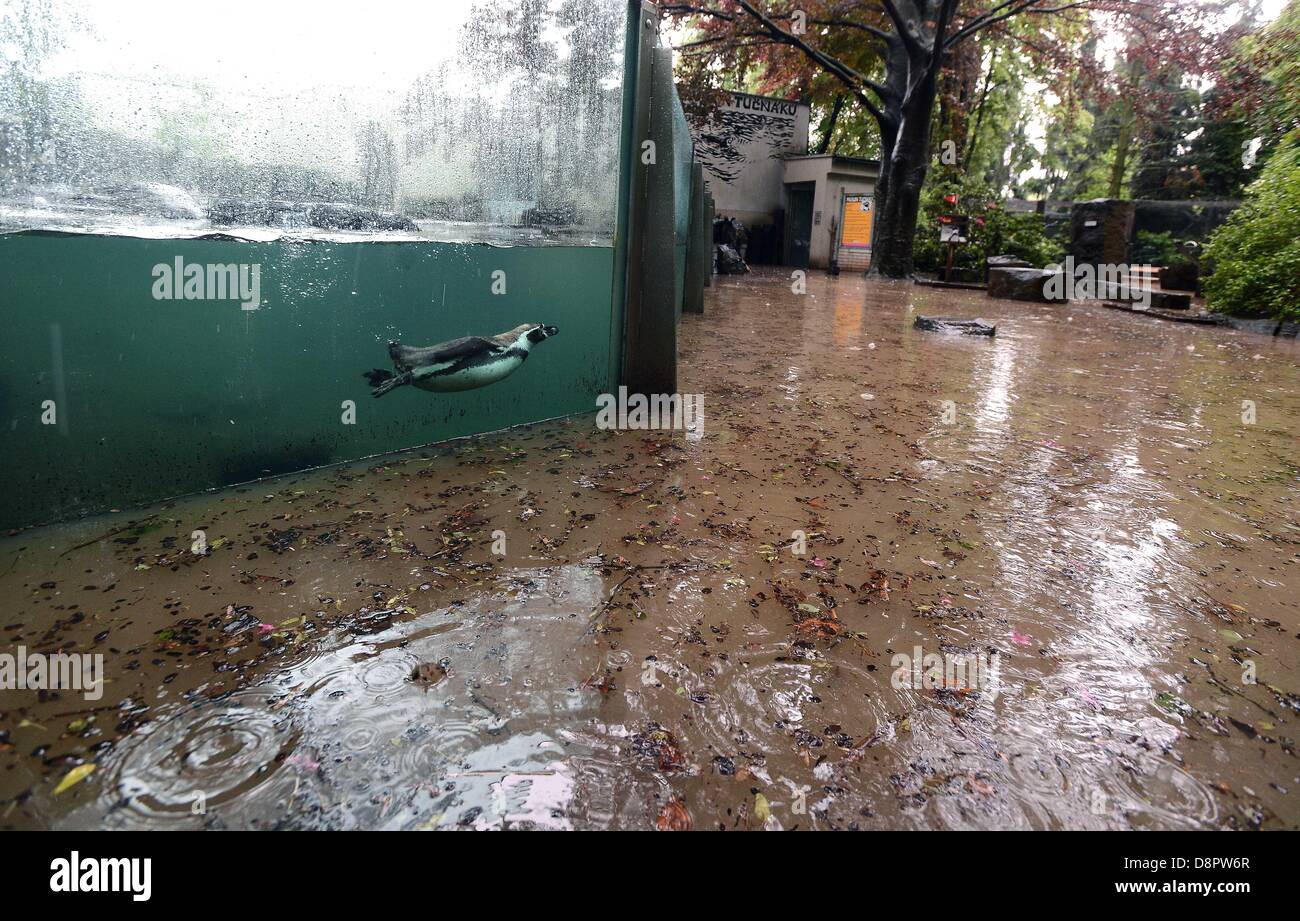 Swollen vltava river hi-res stock photography and images - Alamy