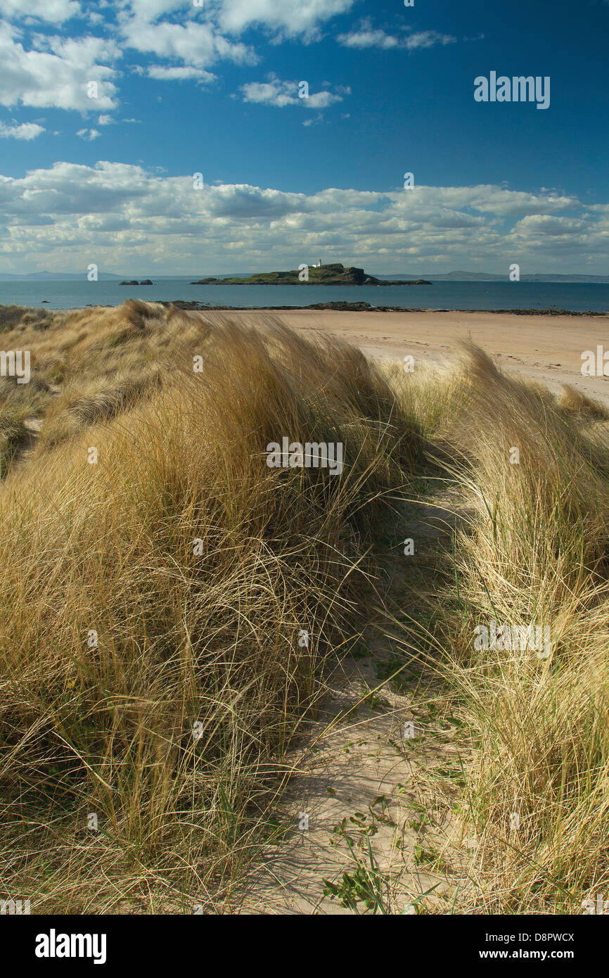 Fidra Lighthouse near Yellowcraigs, East Lothian Stock Photo - Alamy