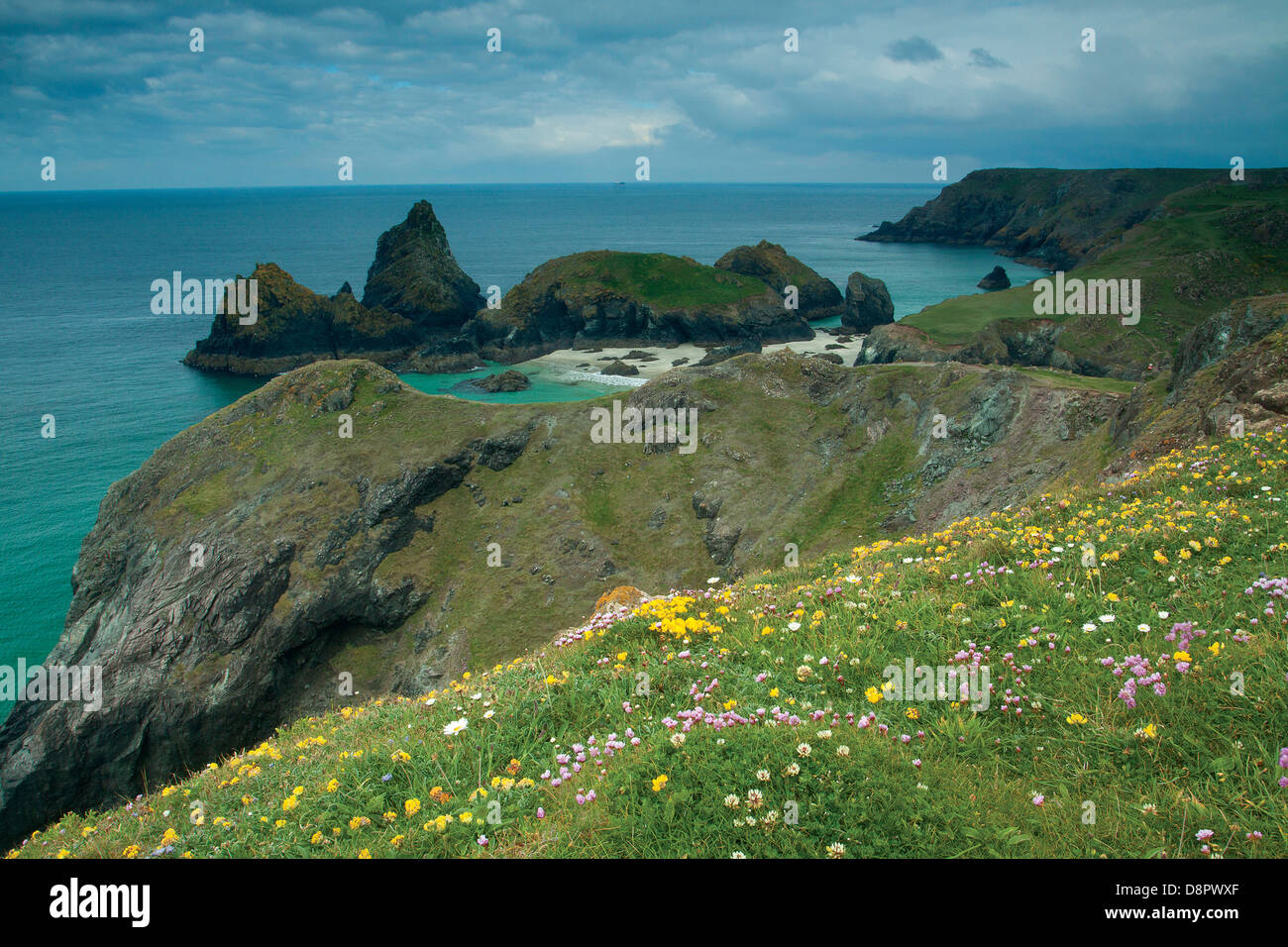 Kynance Cove near Lizard, on the Lizard Peninsula, Cornwall Stock Photo ...