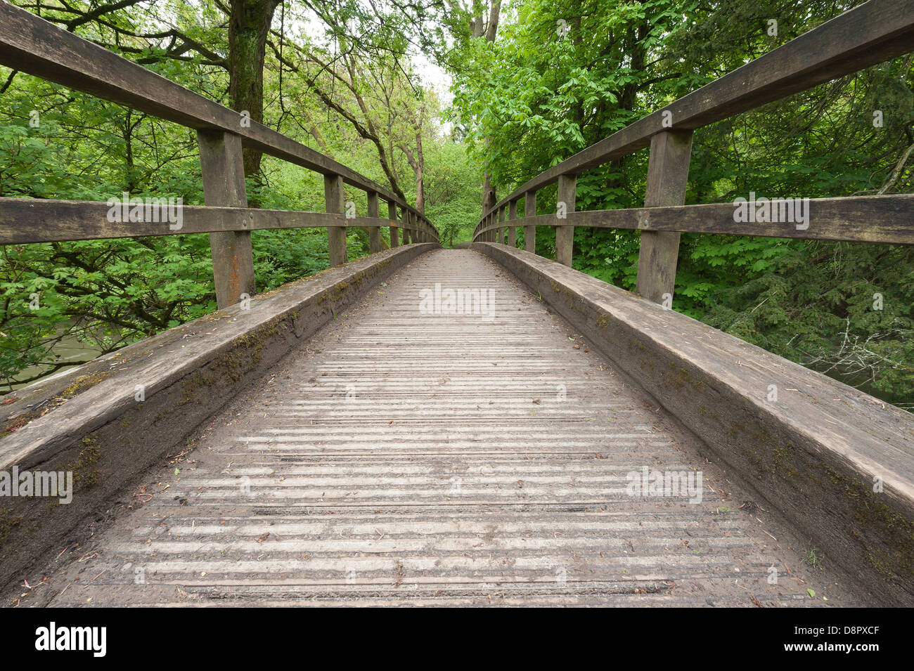 weathered wooden foot bridge vanishing and journey point lead eye ...