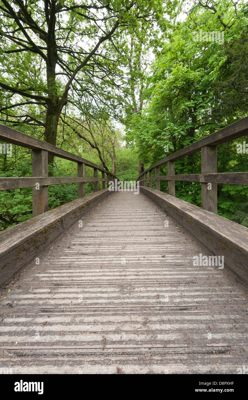 weathered wooden foot bridge vanishing and journey point lead eye ...