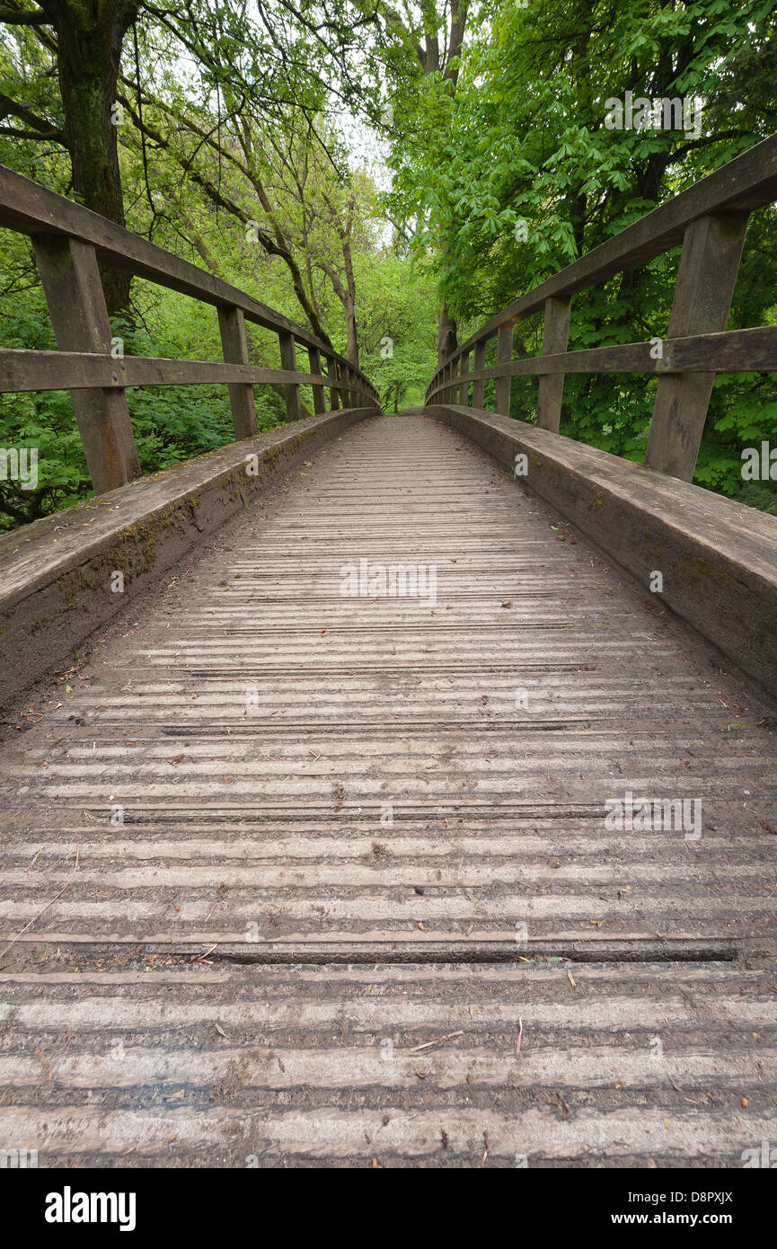 weathered wooden foot bridge vanishing and journey point lead eye ...