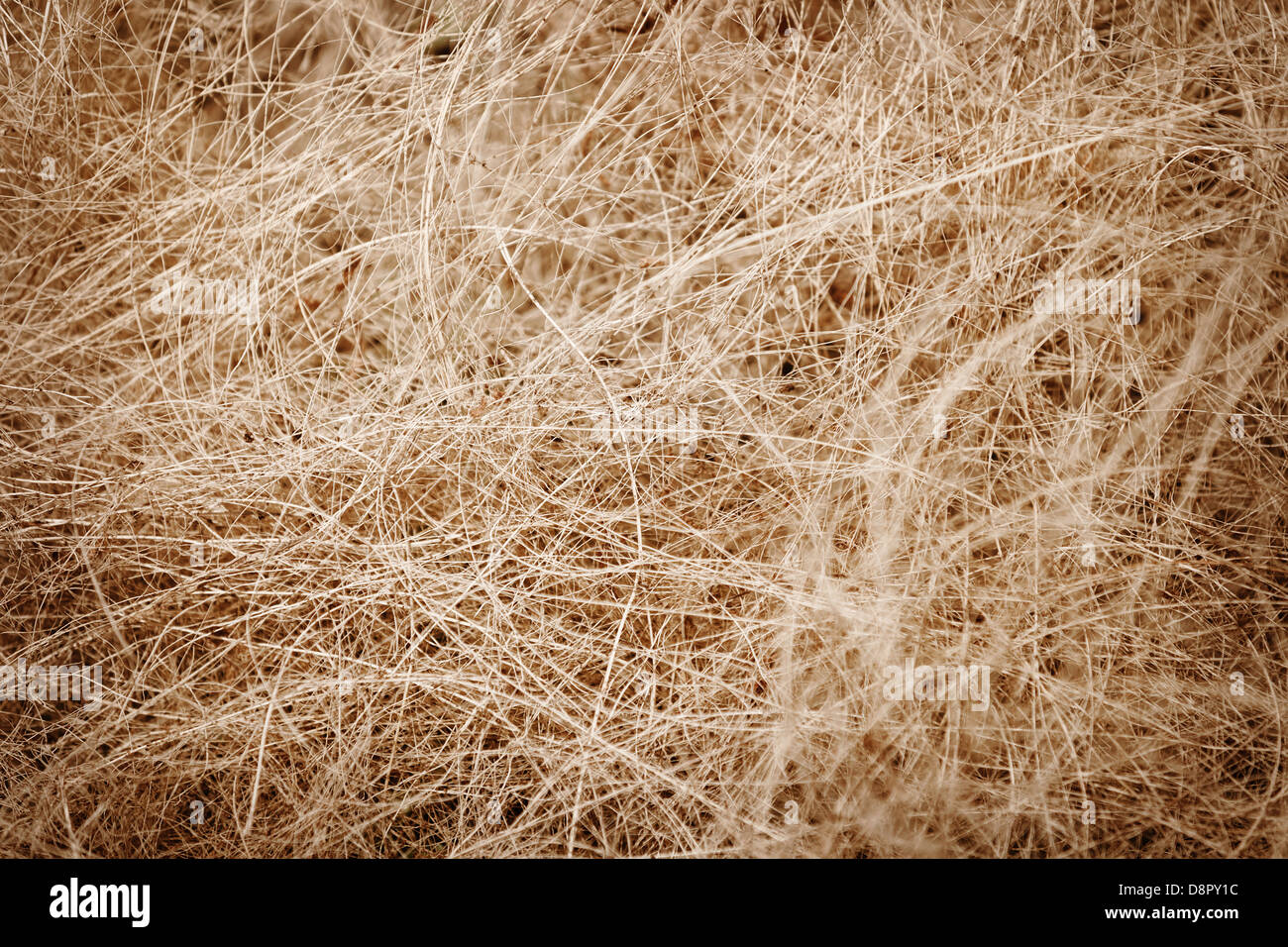 Coconut fiber products hi-res stock photography and images - Alamy