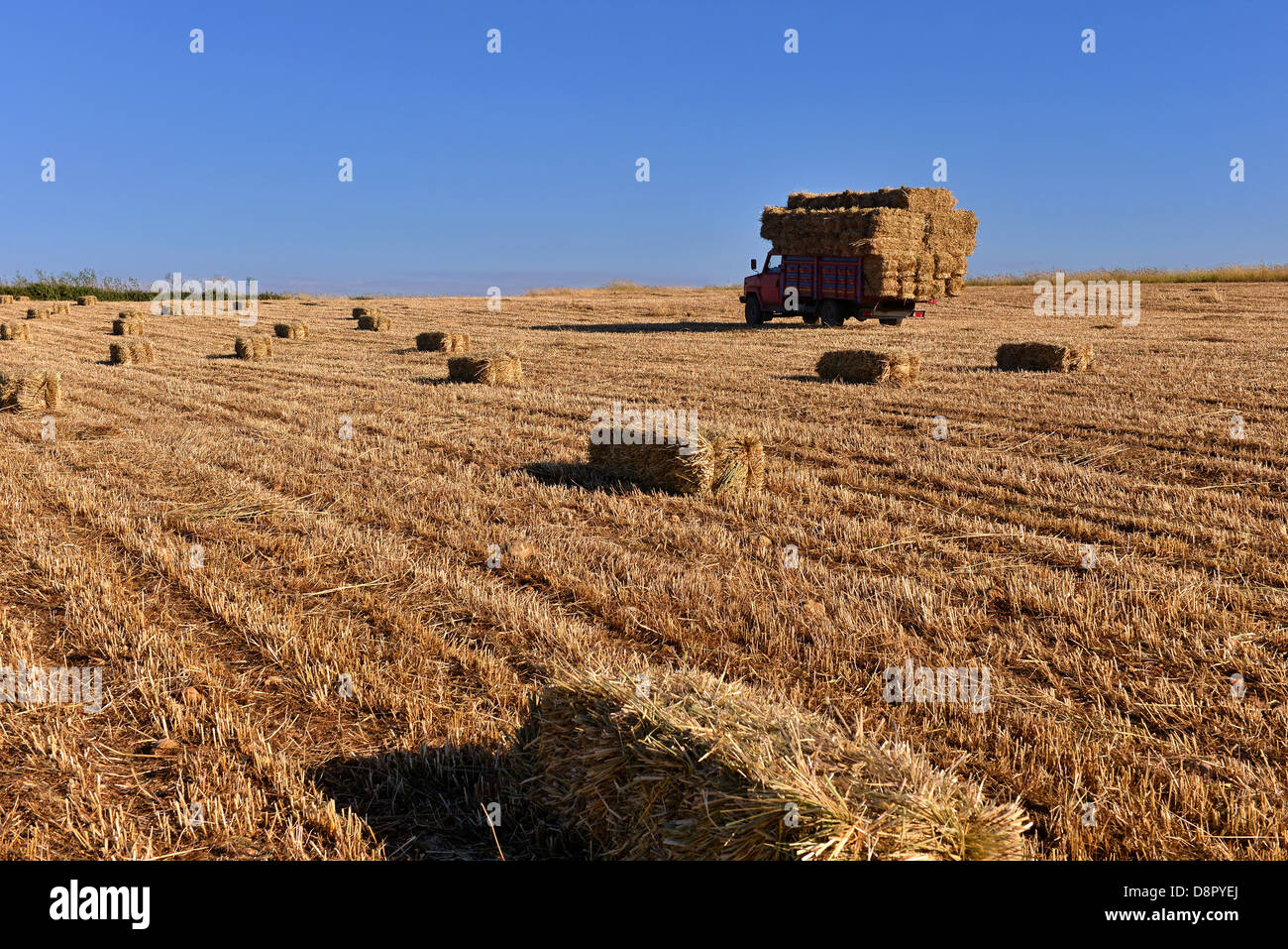Hay bale truck transport hi-res stock photography and images - Alamy