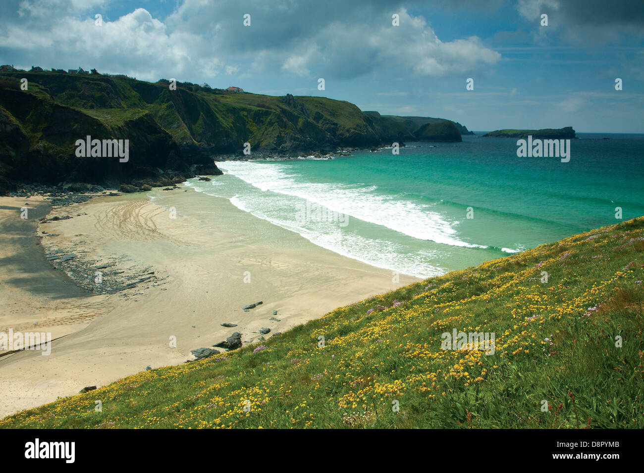 Polurrian Cove near Mullion, on the Lizard Peninsula, Cornwall Stock ...