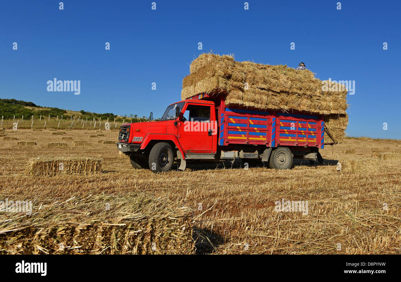 Hay bale truck transport hi-res stock photography and images - Alamy