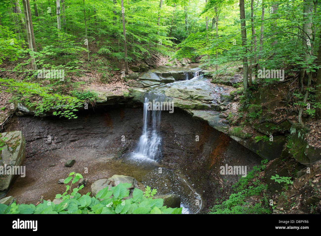 Boston, Ohio - Blue Hen Falls in Cuyahoga Valley National Park Stock Photo - Alamy
