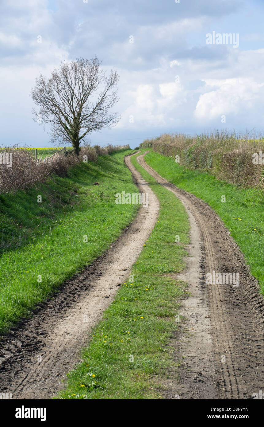 A muddy farm track Stock Photo - Alamy