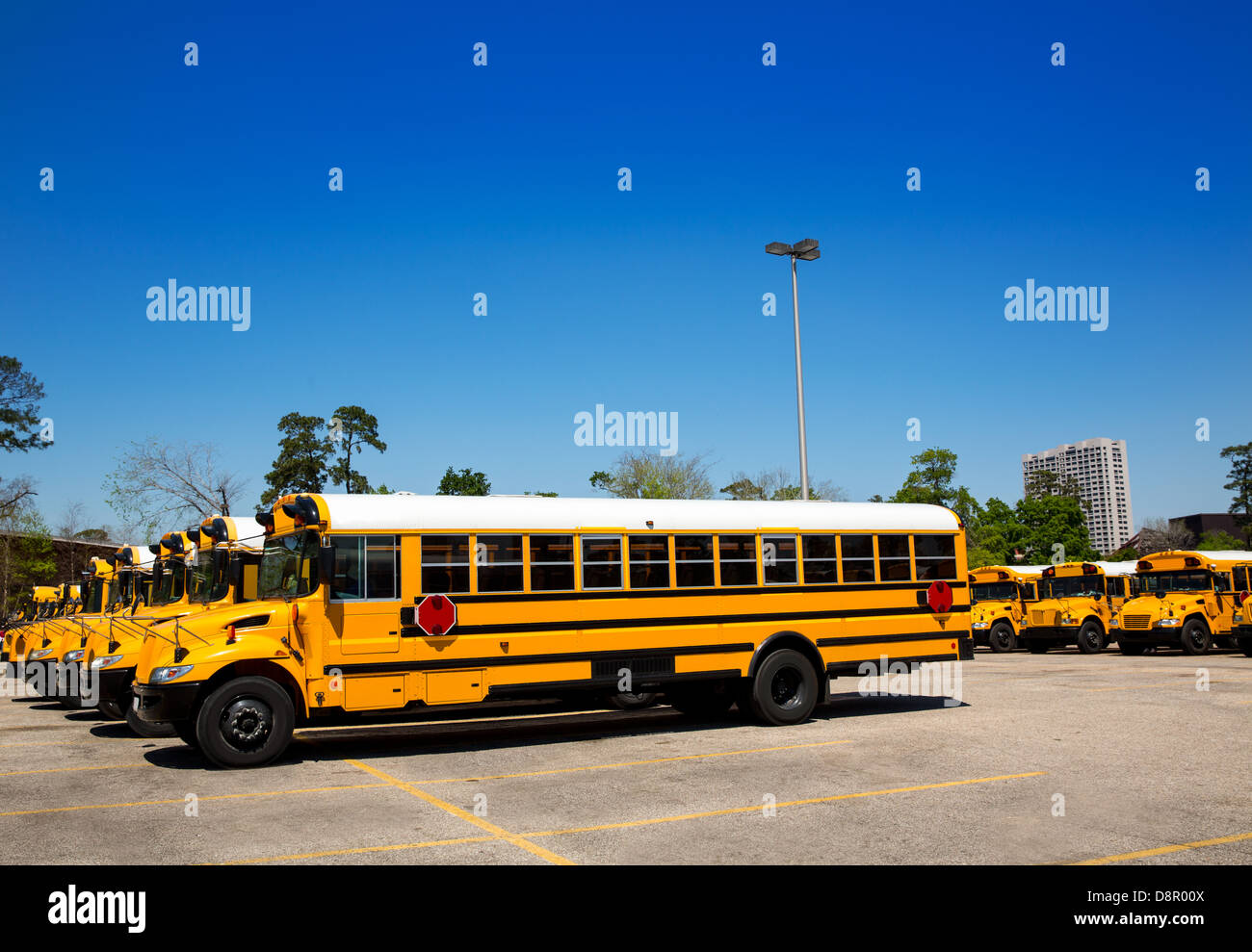 American typical school buses in a row in a parking lot Stock Photo - Alamy