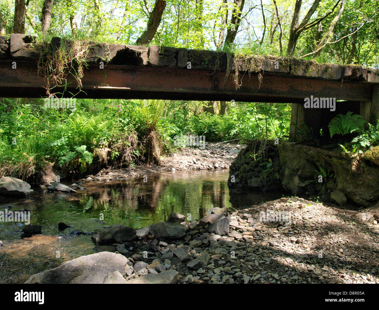 Old wooden bridge over stream, UK 2013 Stock Photo - Alamy