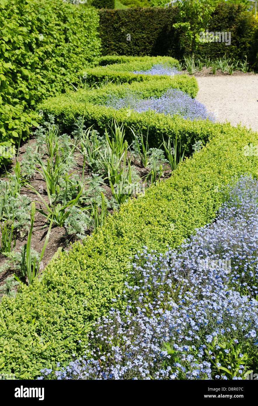 Hedging box hi-res stock photography and images - Alamy