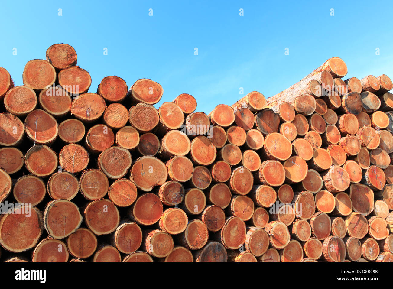 Wood logs and sky Stock Photo - Alamy