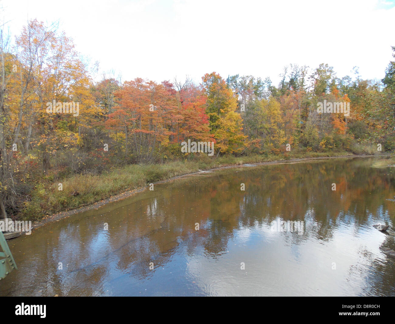 River with reflection Stock Photo - Alamy