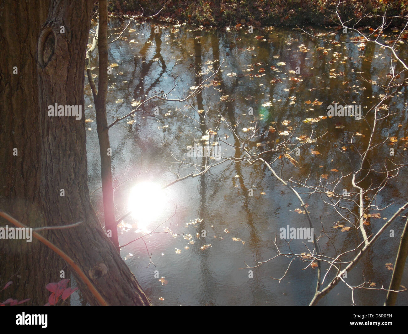 Sin in river Stock Photo - Alamy