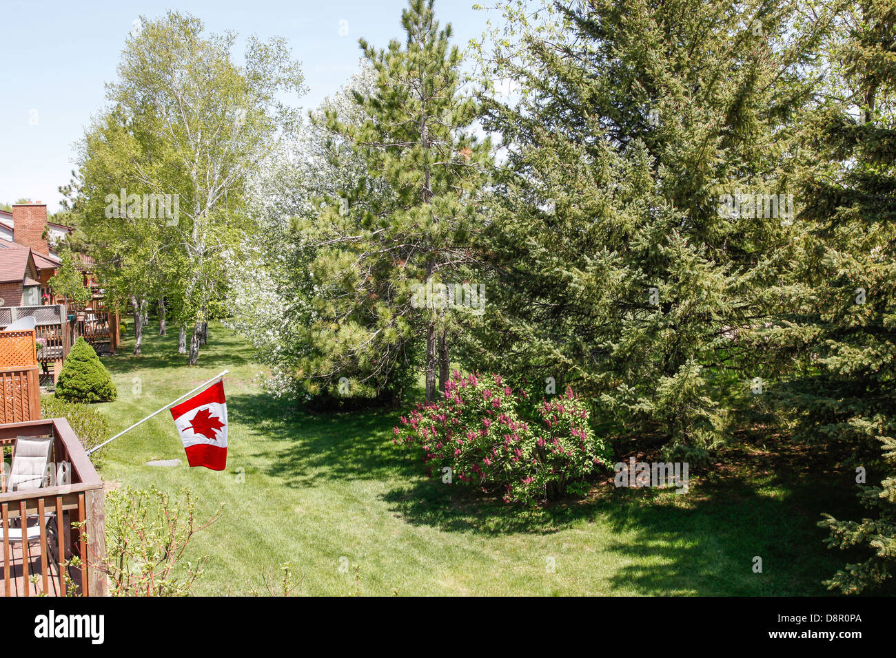 Backyards and gardens in the spring in Ontario;Canada with flowering ...