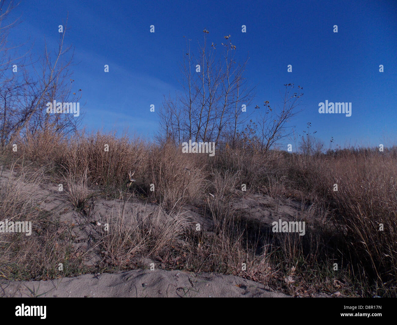 Sand hill hi-res stock photography and images - Alamy