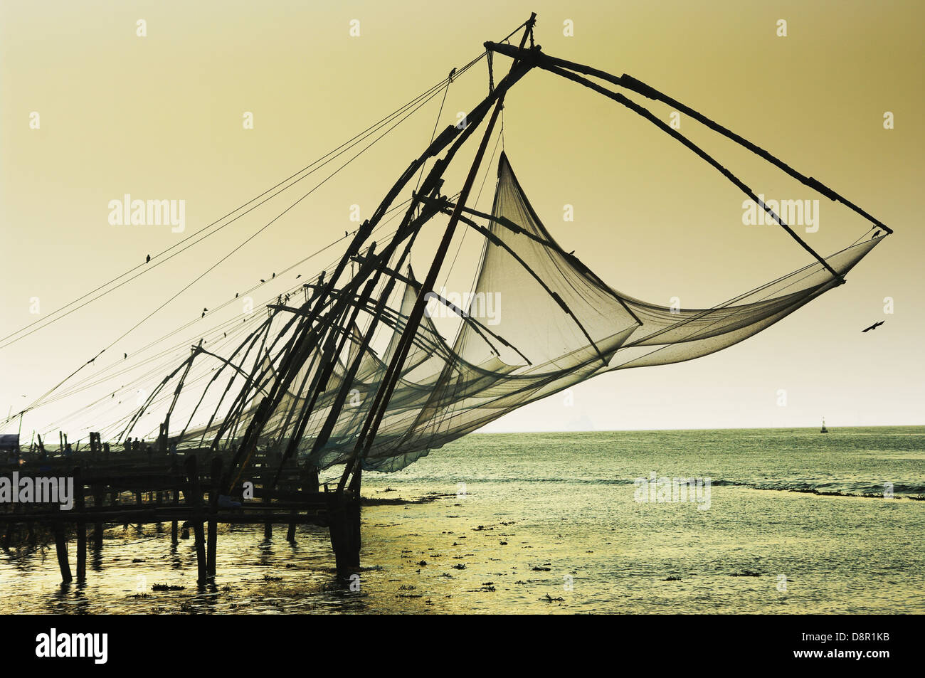 Cochin chinese nets Stock Photo - Alamy