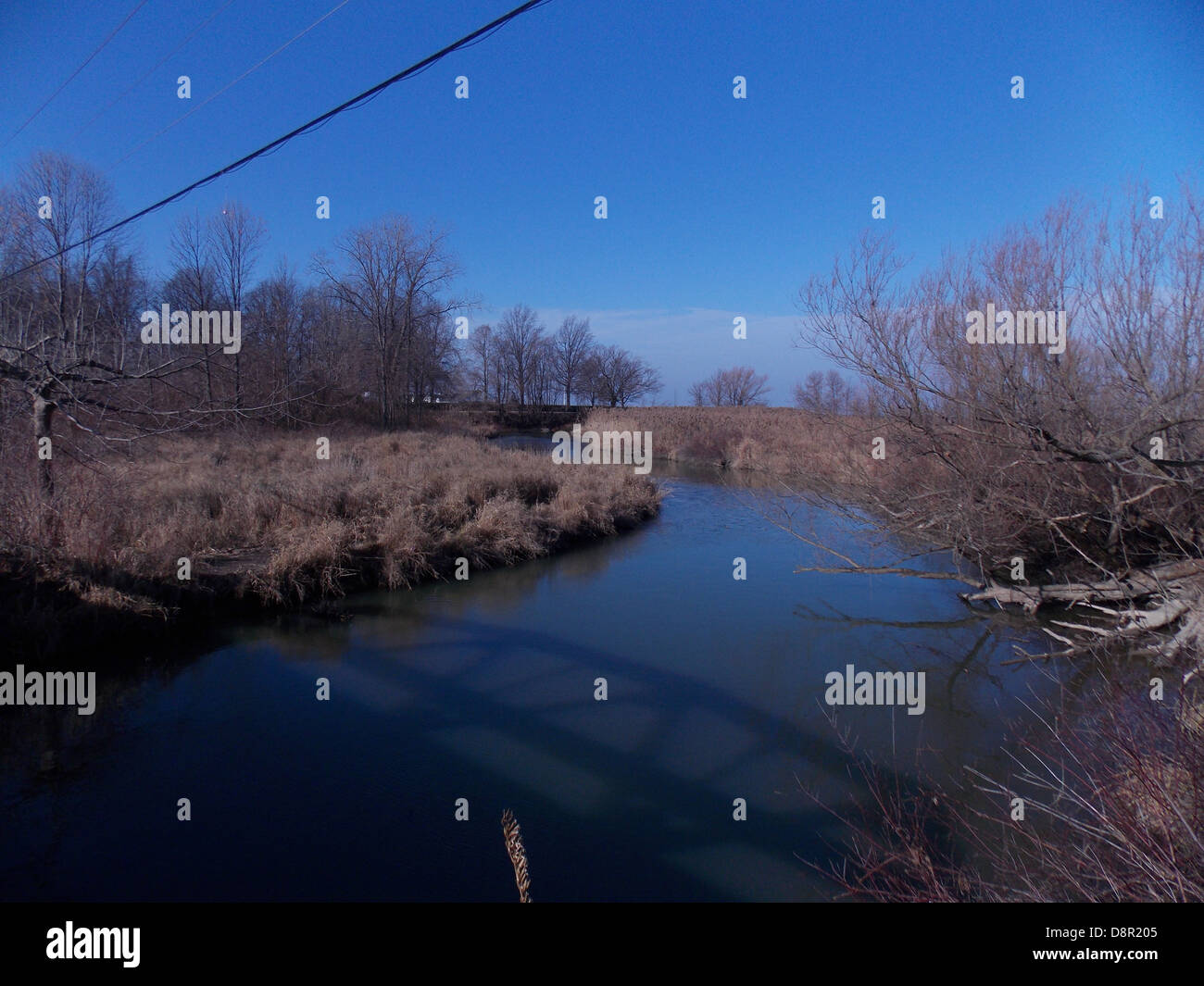 Marsh weeds hi-res stock photography and images - Alamy