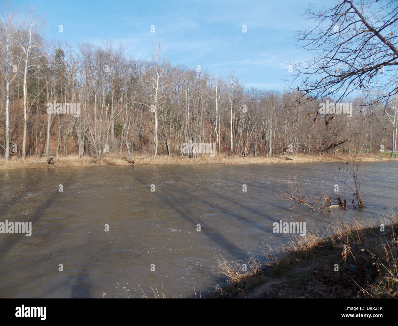 Scene at a river hi-res stock photography and images - Alamy