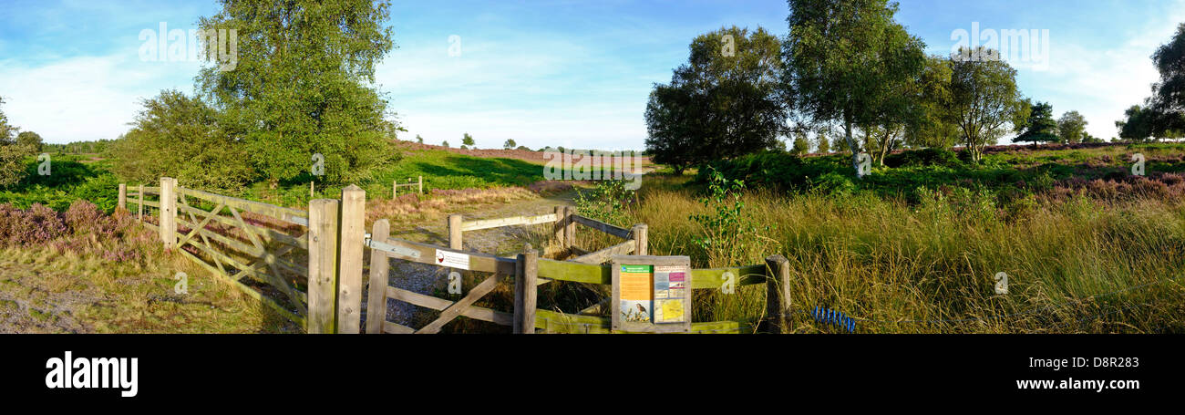 Lowland heath on Minsmere RSPB Reserve within the Suffolk Sandlings ...