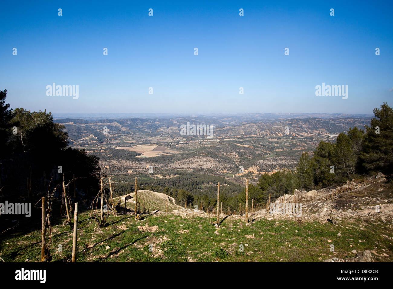 Priorat vineyards hi-res stock photography and images - Alamy