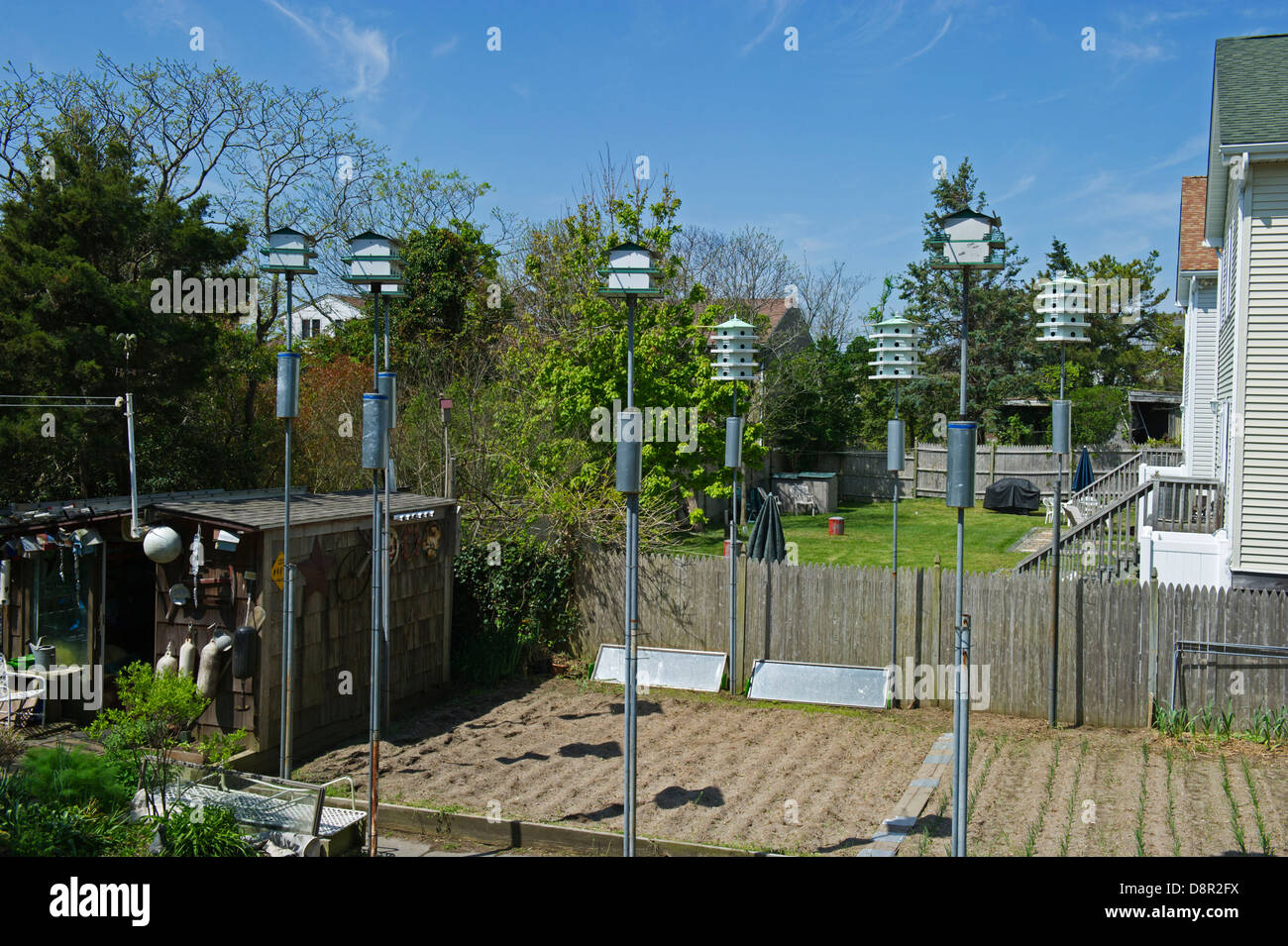 Purple Martin boxes in backyard in Cape May New Jersey USA Stock Photo ...