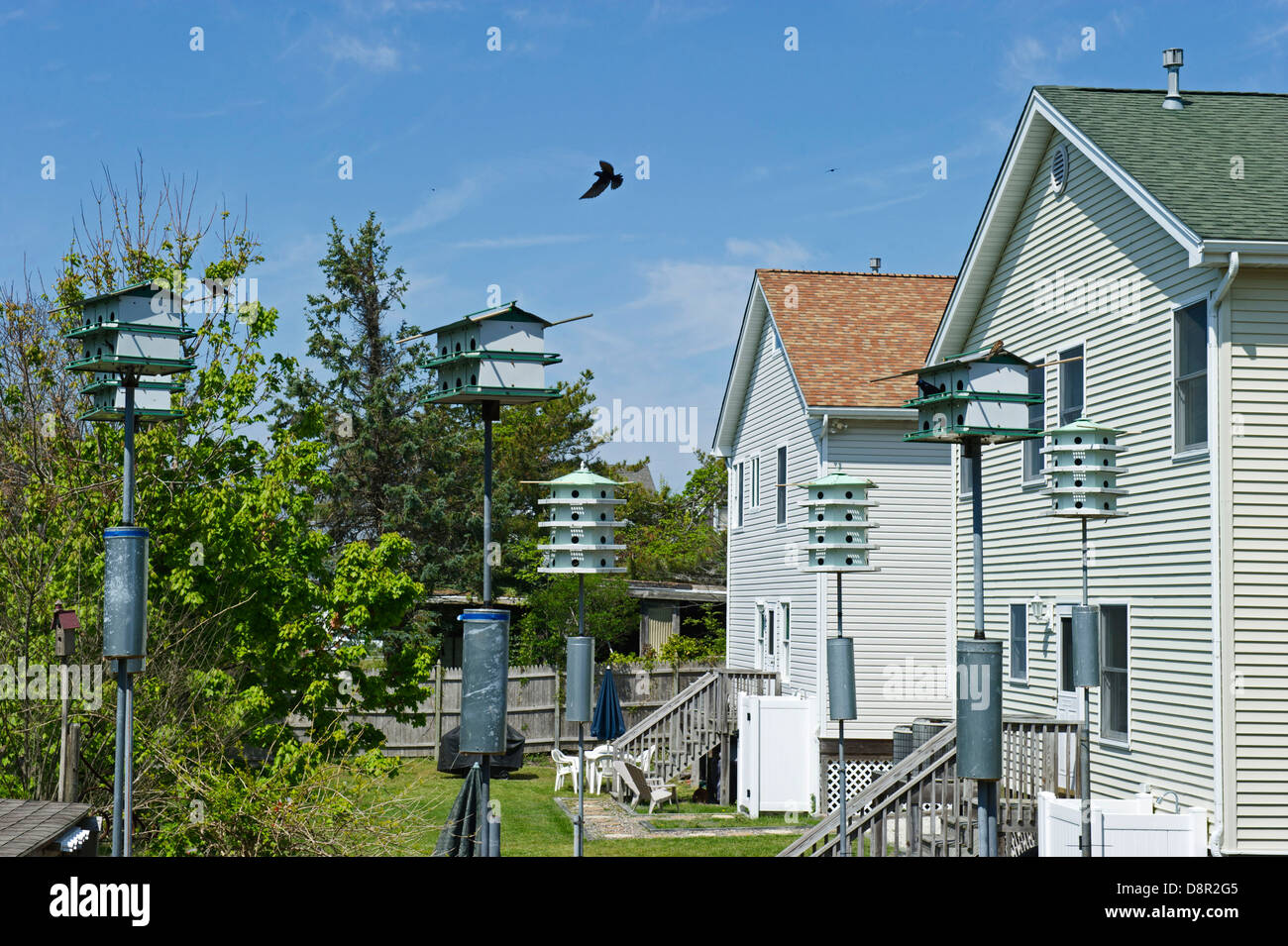 Purple Martin boxes in backyard in Cape May New Jersey USA Stock Photo ...