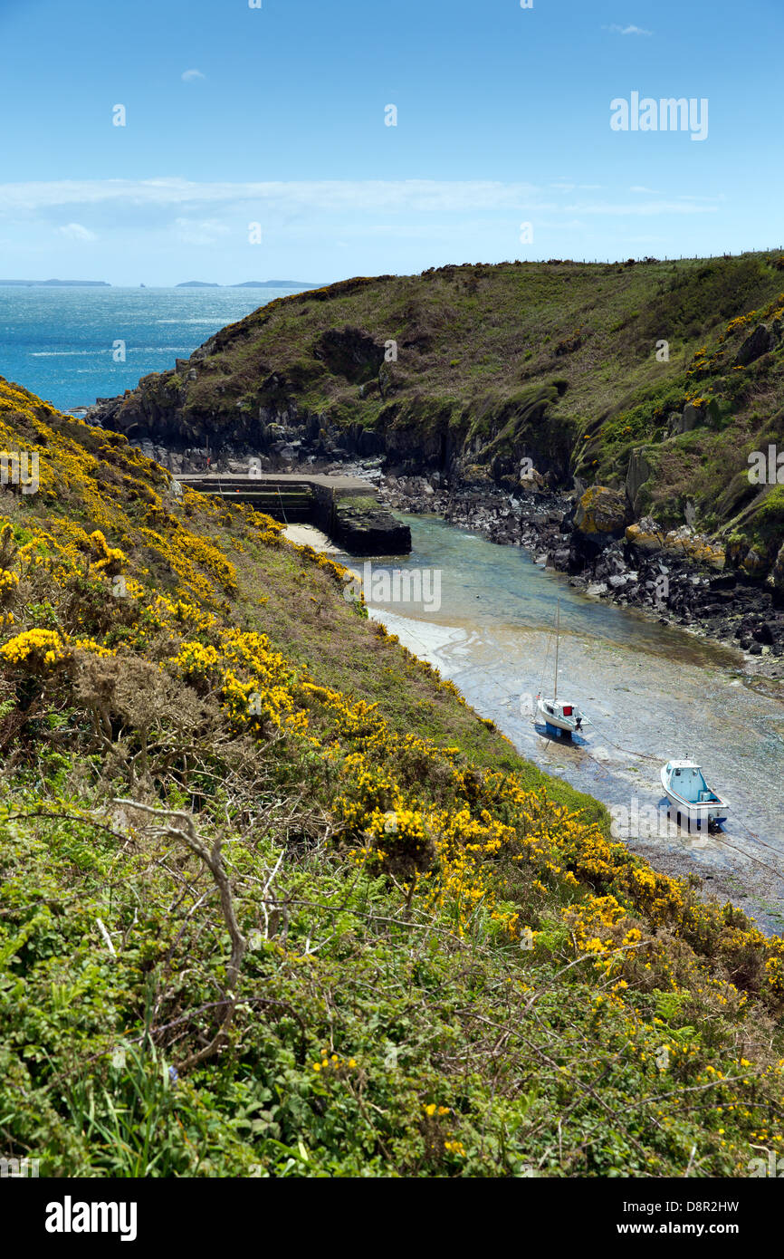 Porthclais Pembrokeshire West Wales. Near to St Davids this historic ...