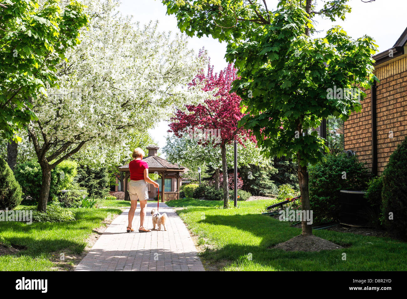 Interlock tree hi-res stock photography and images - Alamy